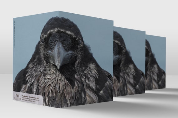 Raven Raven Note Card Greeting Card Crow Corvid Gift - Etsy
