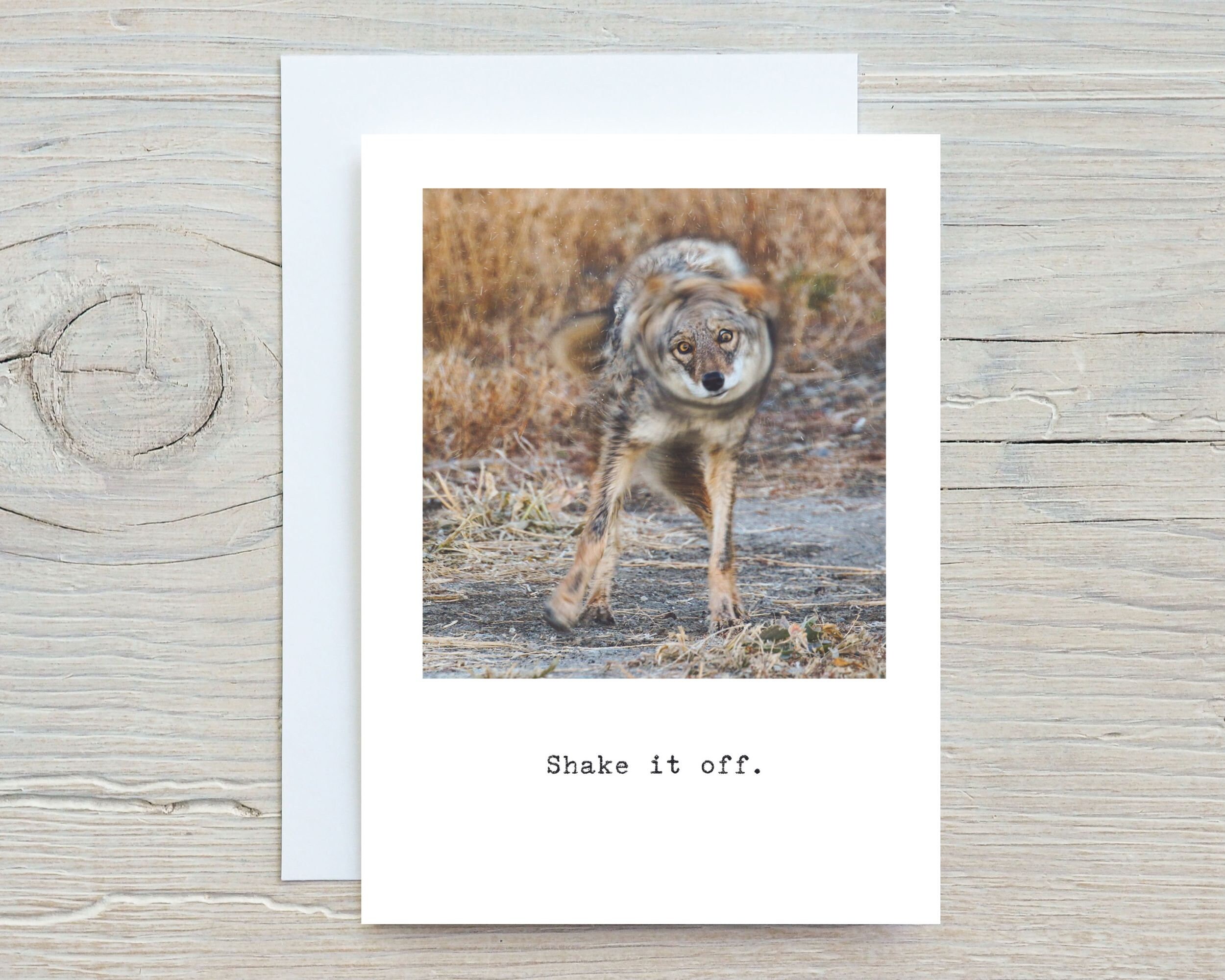 Funny Animal Card Blank Note Card Sympathy Cards Nature - Etsy