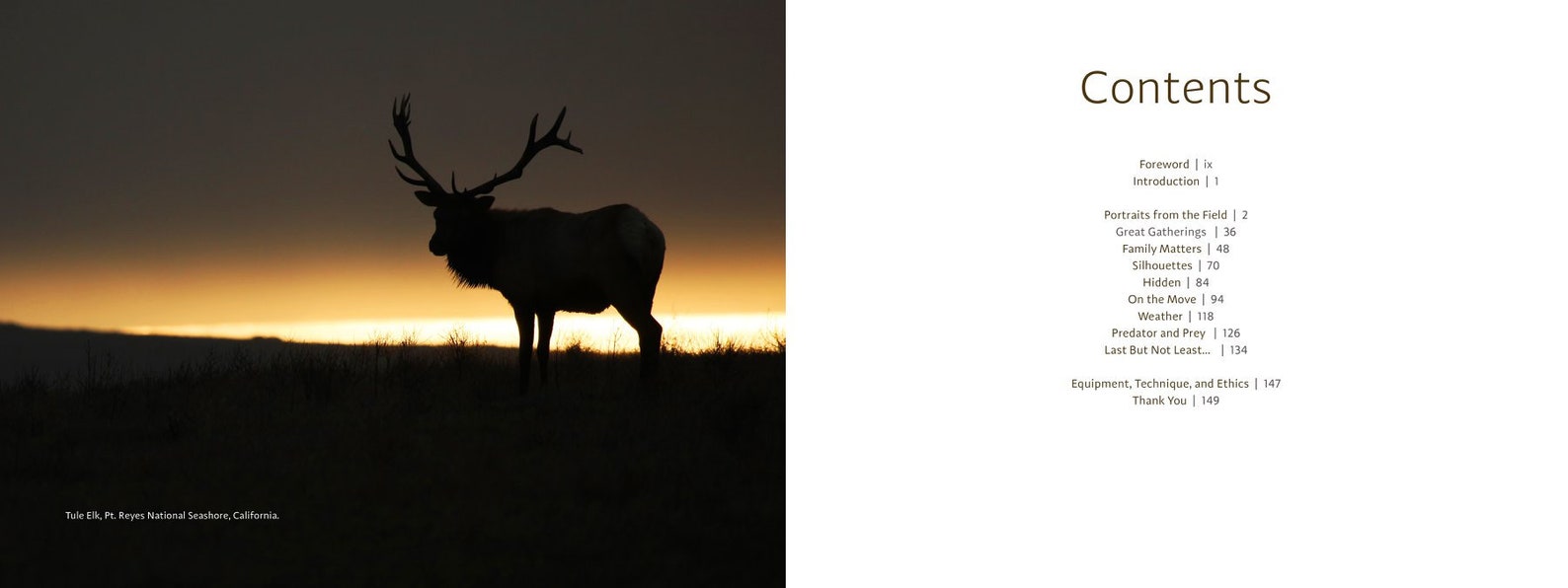 Wildlife Photography Book, Wildlife Gifts, North American Wildlife ...