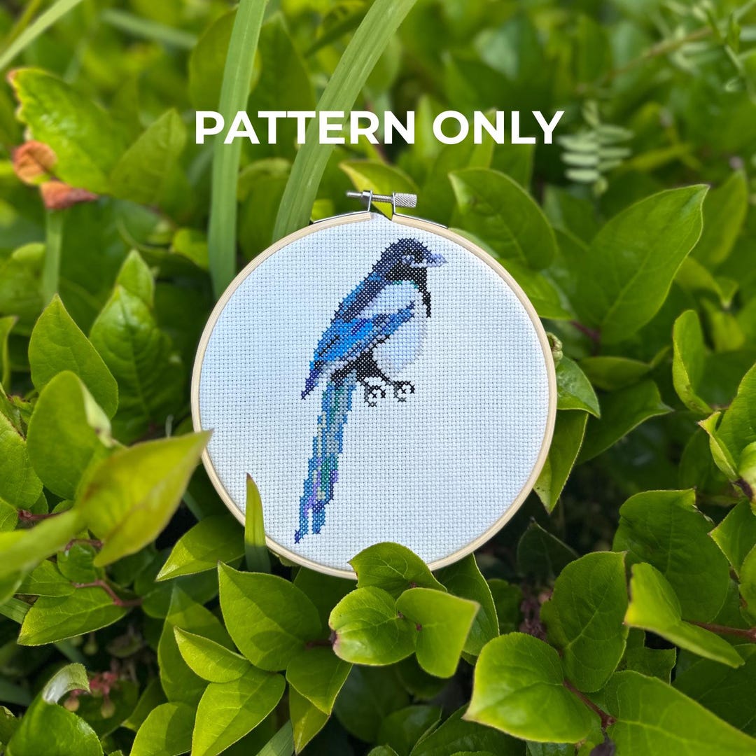 Magpie Bird Cross Stitch Pattern | DIY Embroidery (digital Pattern) - Etsy