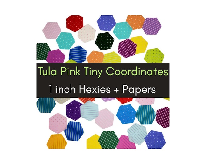 EPP Kit Tula Pink Hexies: Tiny Coordinates 1-inch Precut Hexagons ...