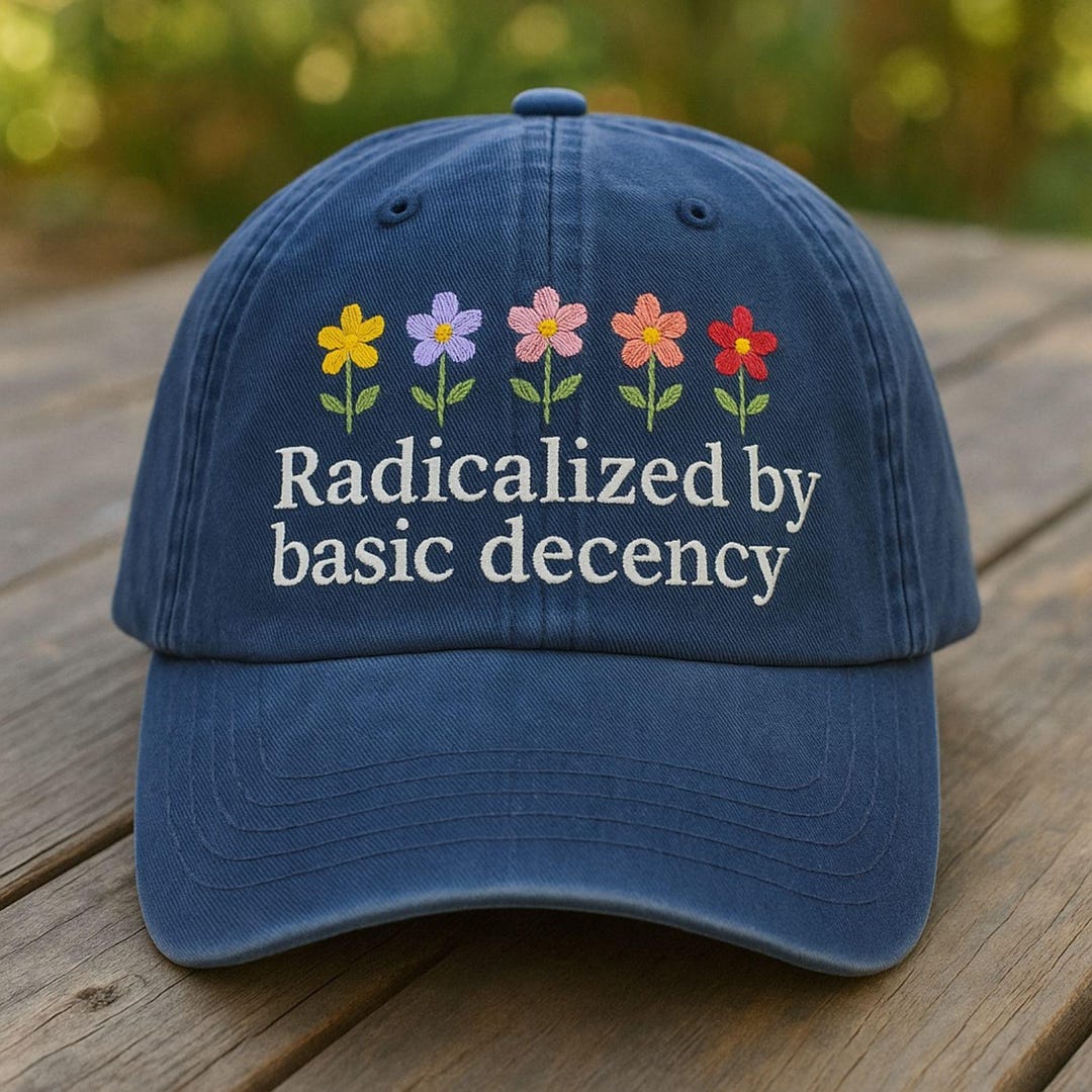 Radicalized by Basic Decency Embroidered Hat, Liberal Accessory, Democracy Gift, Socialist ...