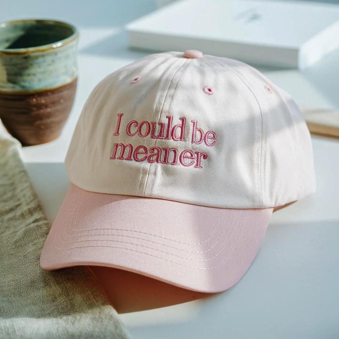 I Could Be Meaner Embroidered Hat, Funny Humor Cap, Sarcastic Hat ...