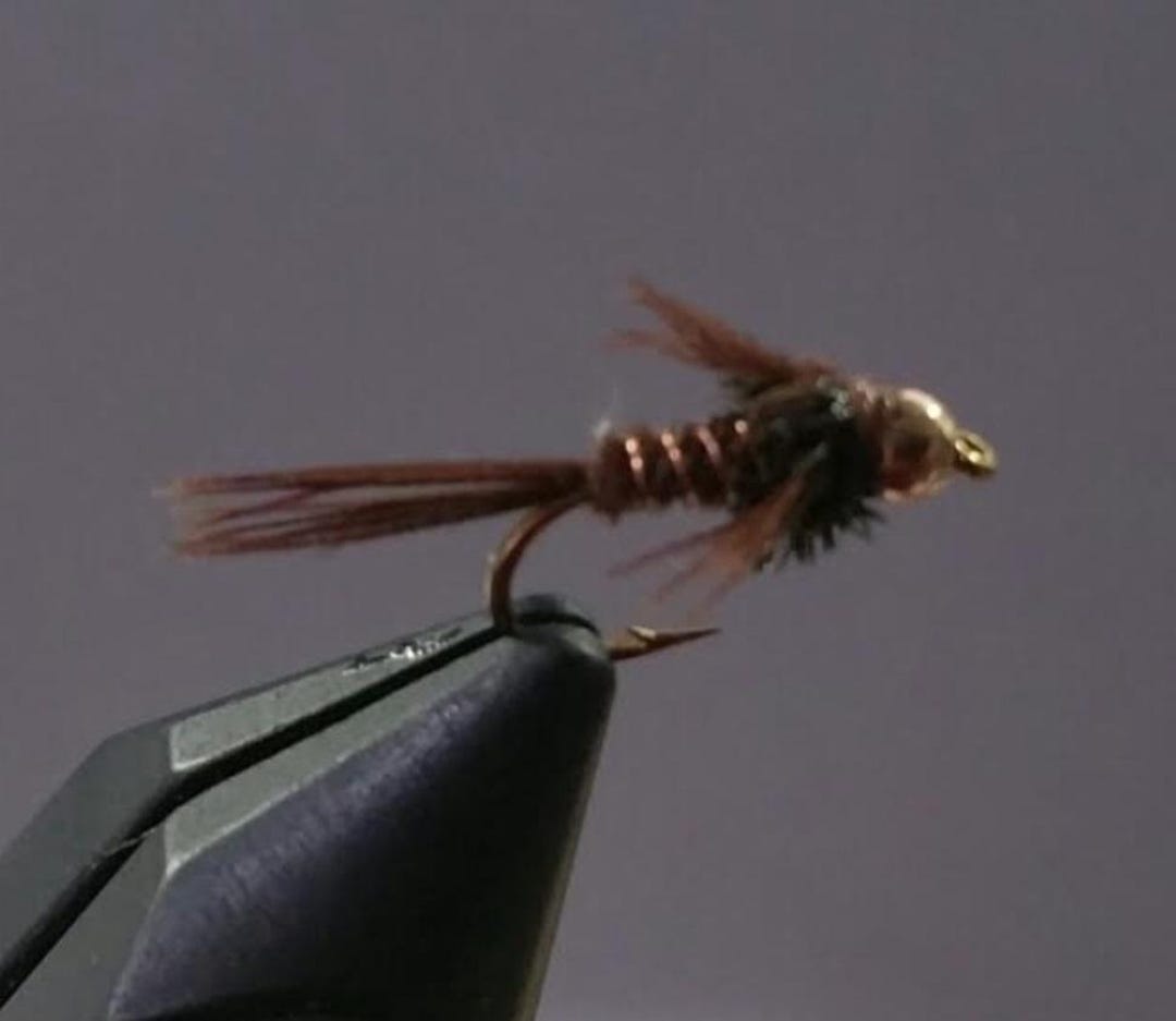 1 DZN - BH Pheasant Tail Nymph - Wet Fly Nymph - Trout - Etsy