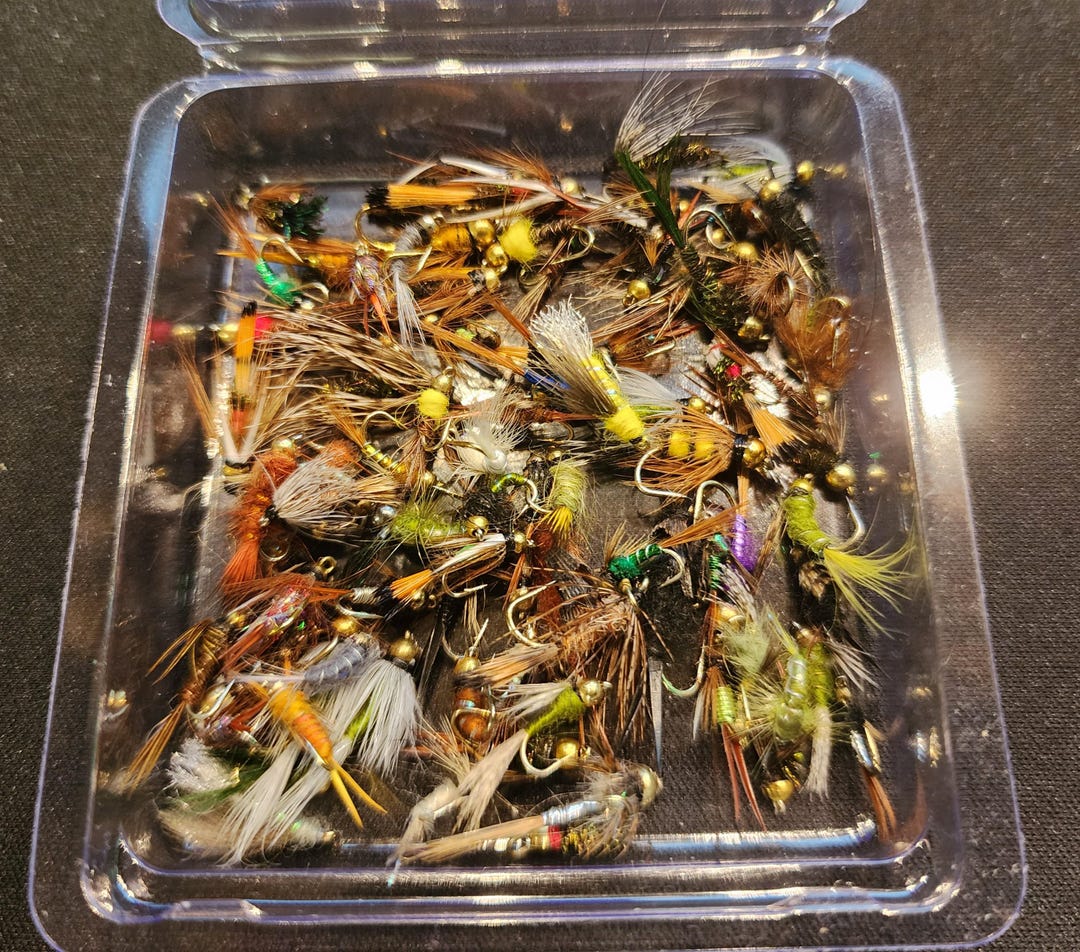 100 Assortment of Quality Wet Flies - Trout, Panfish, Crappie, Blue ...