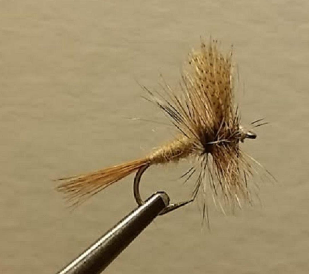 1 DZN - March Brown Winged - Dry Fly - Trout - Etsy