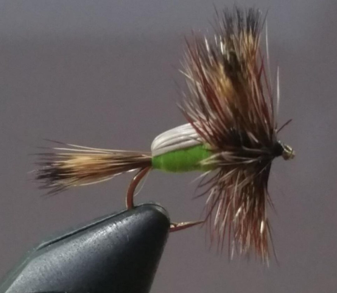 1 DZN - Humpy Winged Chartreuse - Dry Fly - Trout - Etsy