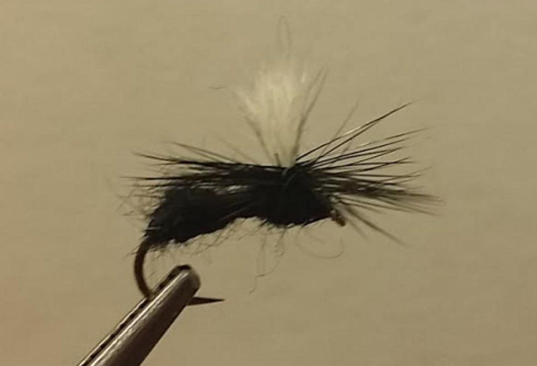 1 DZN - White Parachute Black Ant - Dry Fly - Trout - Etsy