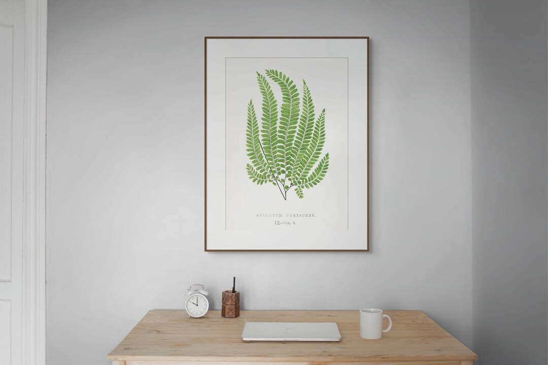 Vintage Style Green Large Fern Leaf Art Print Wall Art Unframed Poster ...