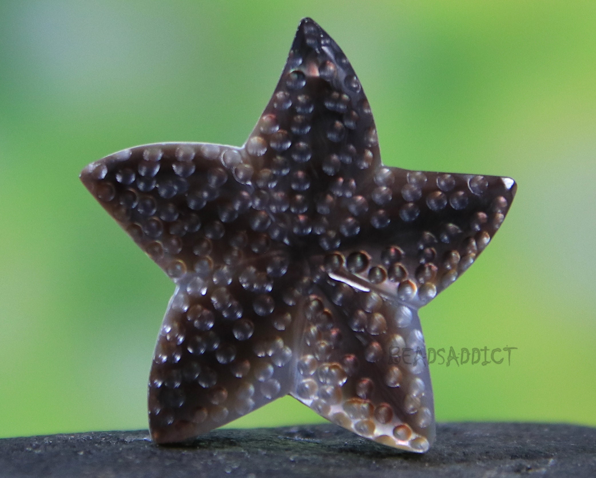 Sea Creature Carving - Etsy