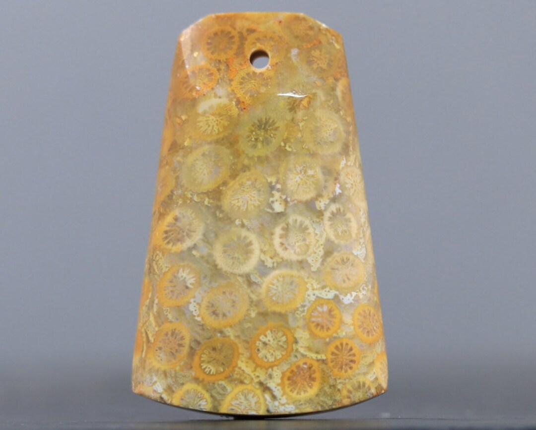 DIY Fossilized Coral Pendant Natural Stone Fossil With Drilled Hole for ...