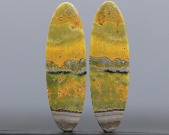 Gemstones Craft Supplies & Tools CLEARANCE Pair Bumblebee Agate ...