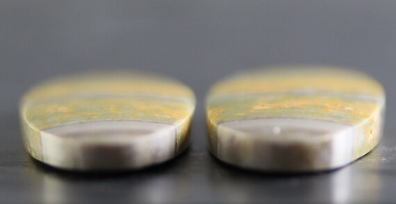Gemstones Craft Supplies & Tools CLEARANCE Pair Bumblebee Agate ...