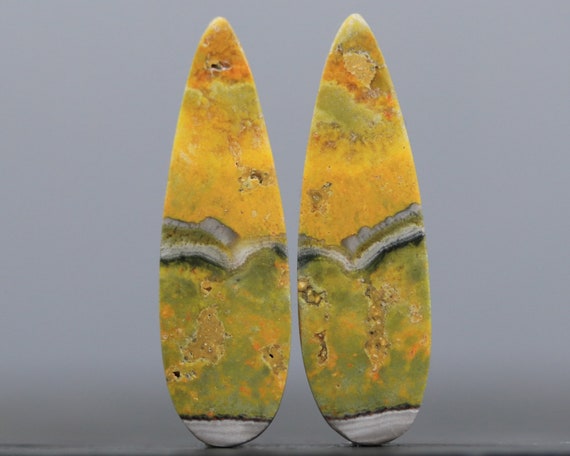 Gemstones Craft Supplies & Tools CLEARANCE Pair Bumblebee Agate ...