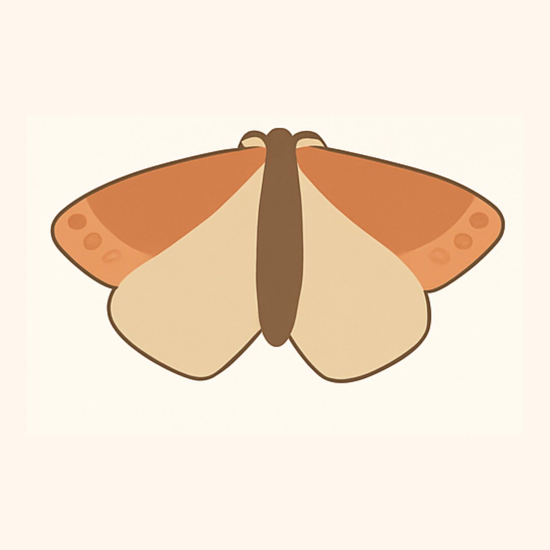 Moth Cookie Cutter - Etsy