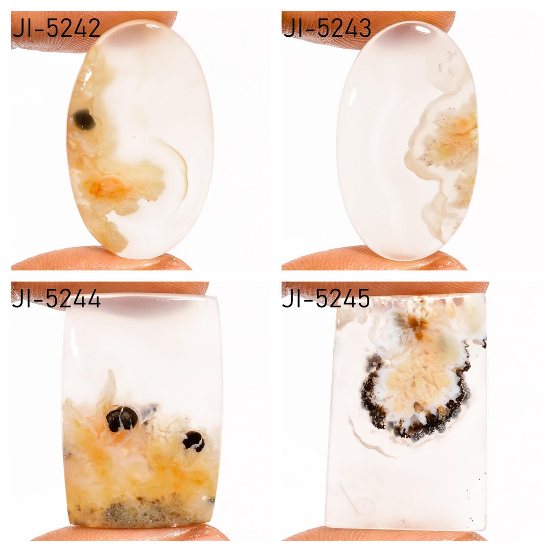 Natural Plume Agate Fancy Shape Un-drilled Smooth Cabochon Single ...