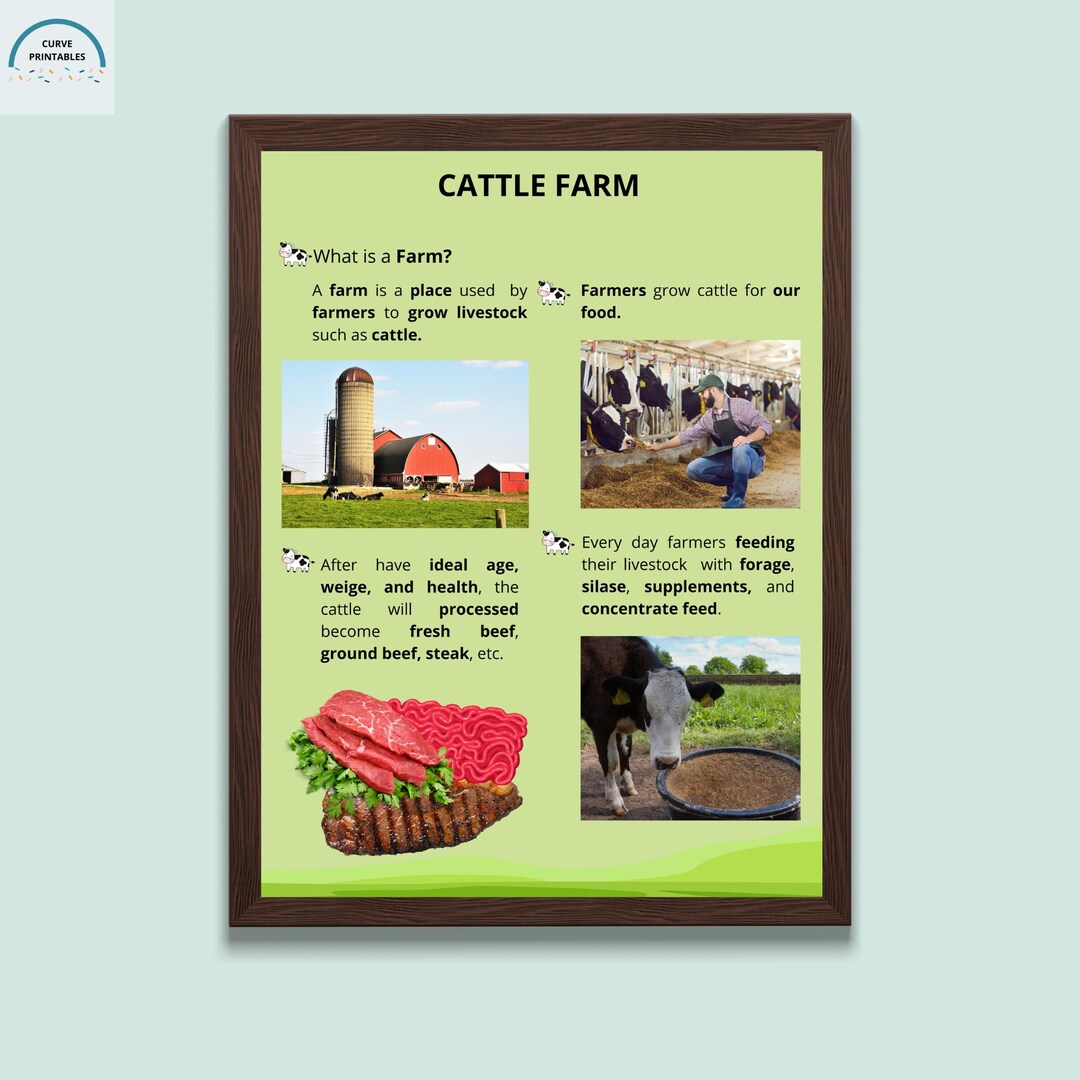 Farm Lesson Poster | Farm Animal Lesson Poster | Cattle Farm Poster ...