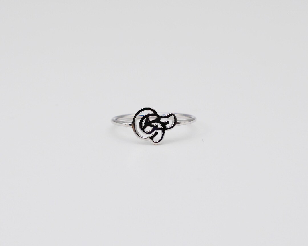 Sterling Silver Pancreas Ring, Unique Organ Jewelry for Medical Student ...