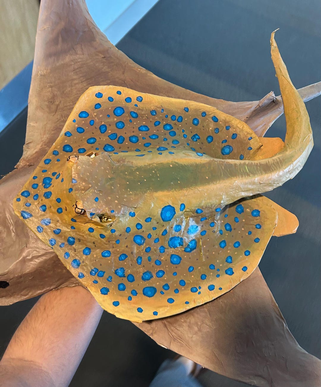 Bluespotted Stingray - (paper Mache) - Etsy