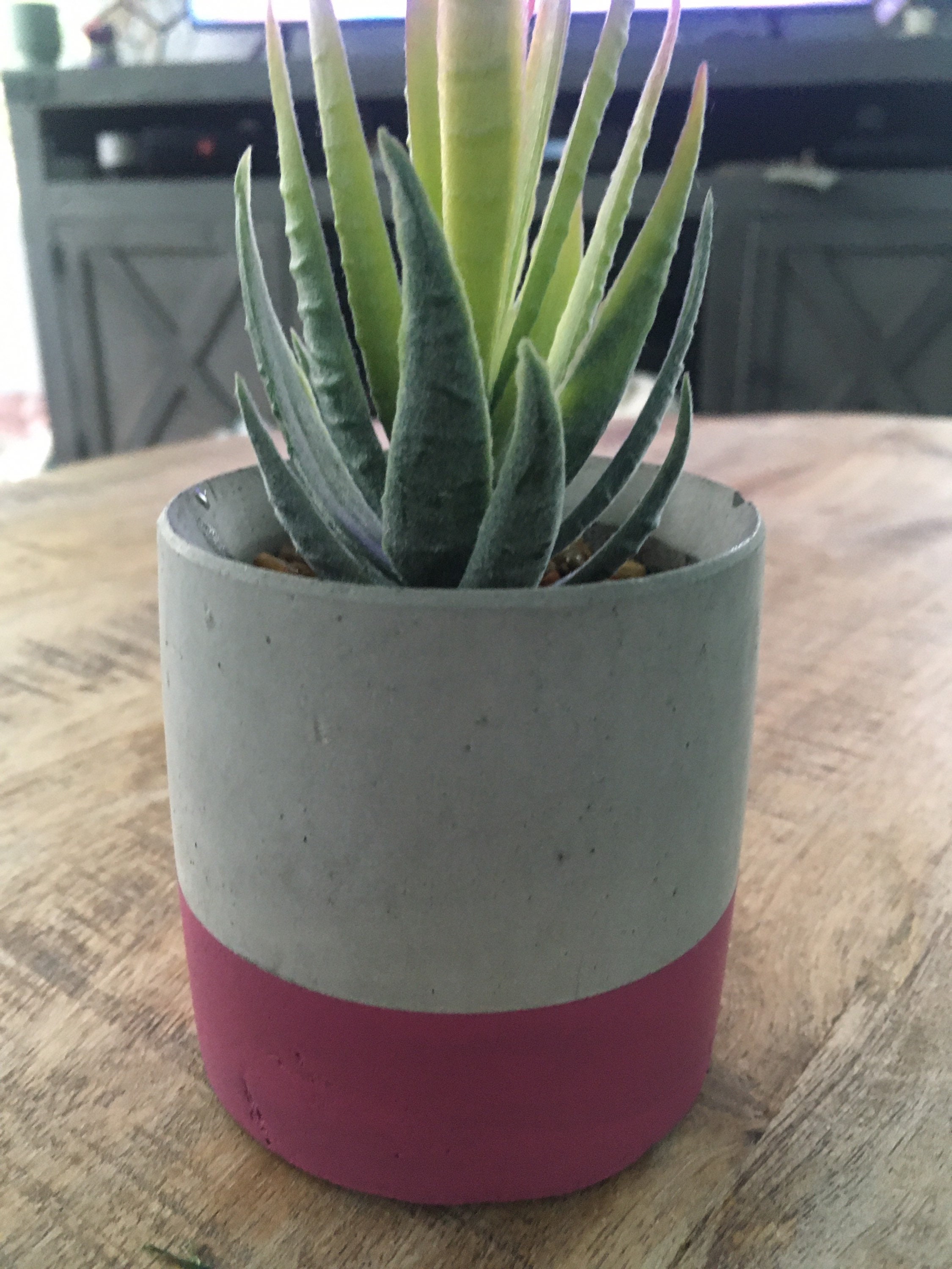Round Concrete Pot Vessel W Fake Succulent Pink Stripe, Plant Desk ...