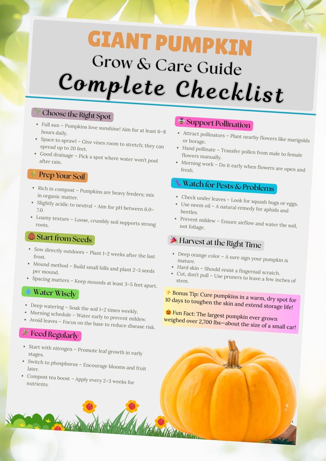 Giant Pumpkin Care Guide – How to Grow and Care for Giant Pumpkin ...