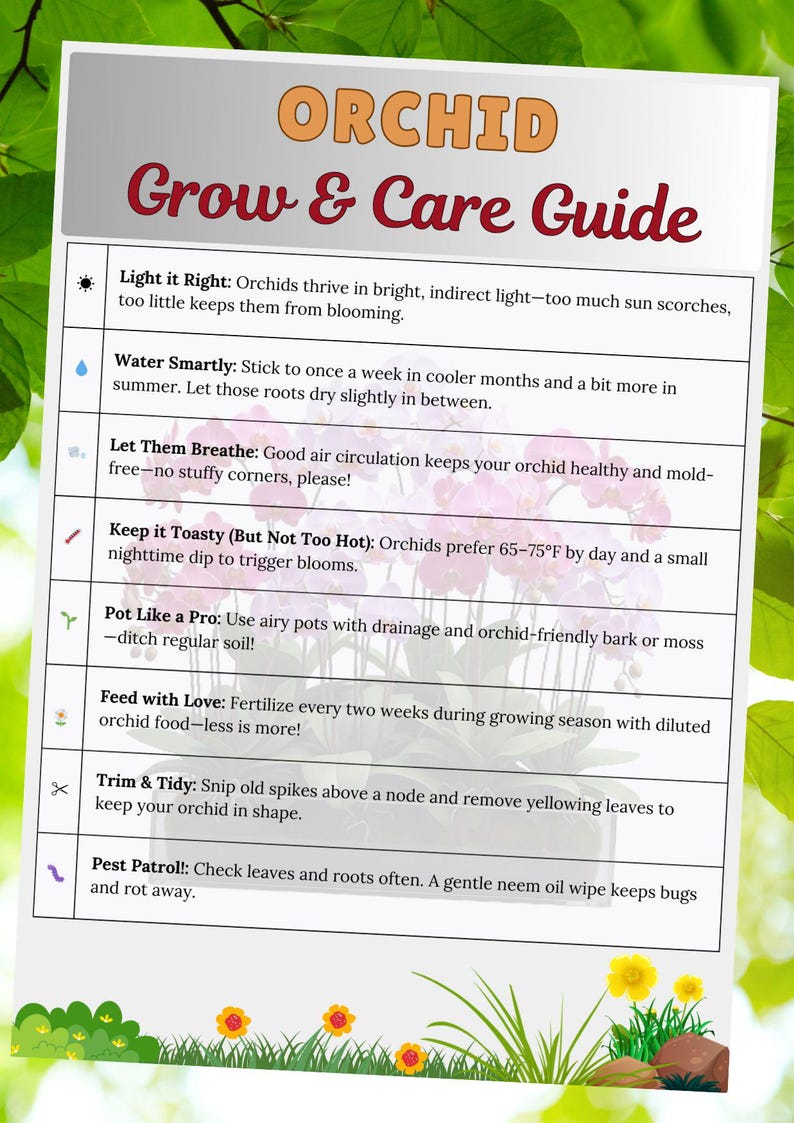 Why Your Orchid Isn’t Blooming – Orchid Care Guide PDF Printable ...