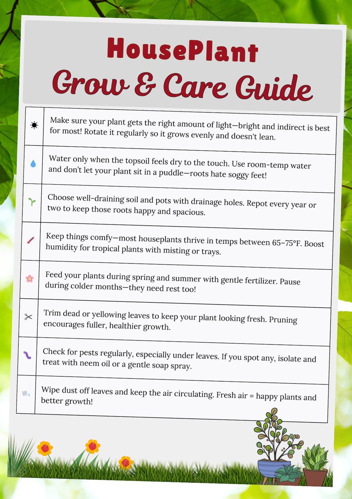 Houseplants Care Guide Chart – How to Grow and Care for Houseplants ...