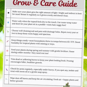 Houseplants Care Guide Chart – How to Grow and Care for Houseplants ...