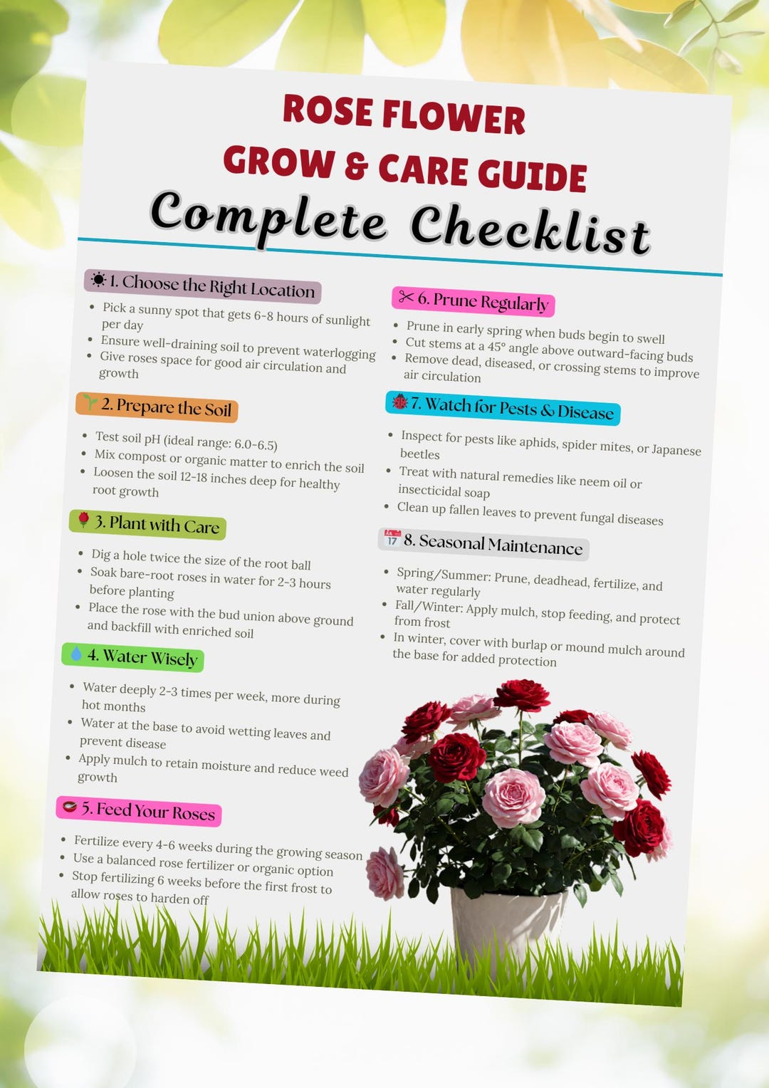 How to Grow and Care for Rose Flower Plants - Printable & Editable ...