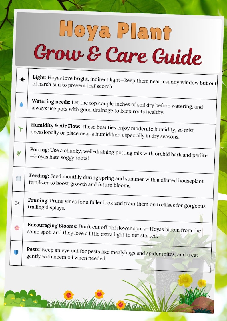 Hoya Plant Care Guide – How to Grow and Care for Hoya Houseplant | Printable & Editable ...