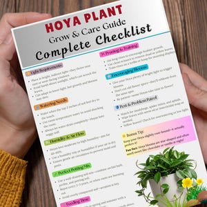 Why My Hoya Isn’t Flowering - A Clear, No-confusion Printable Guide to ...