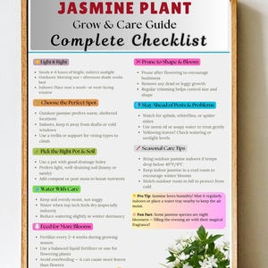 The Hidden Growing Rule That Makes Jasmine Bloom Like Crazy Jasmine ...