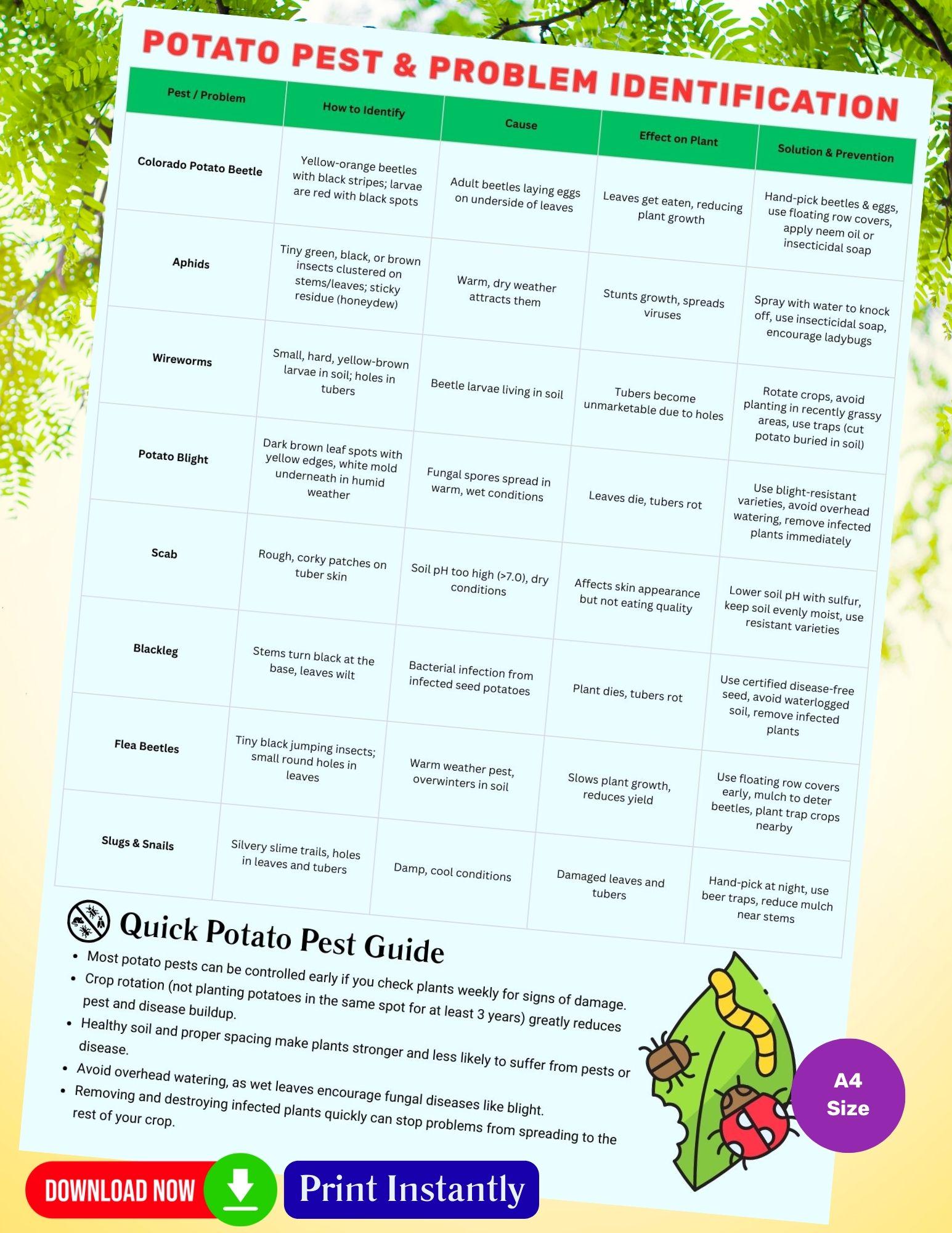 How to Grow and Care Potato Guide Chart Printable | Potato Varieties ...