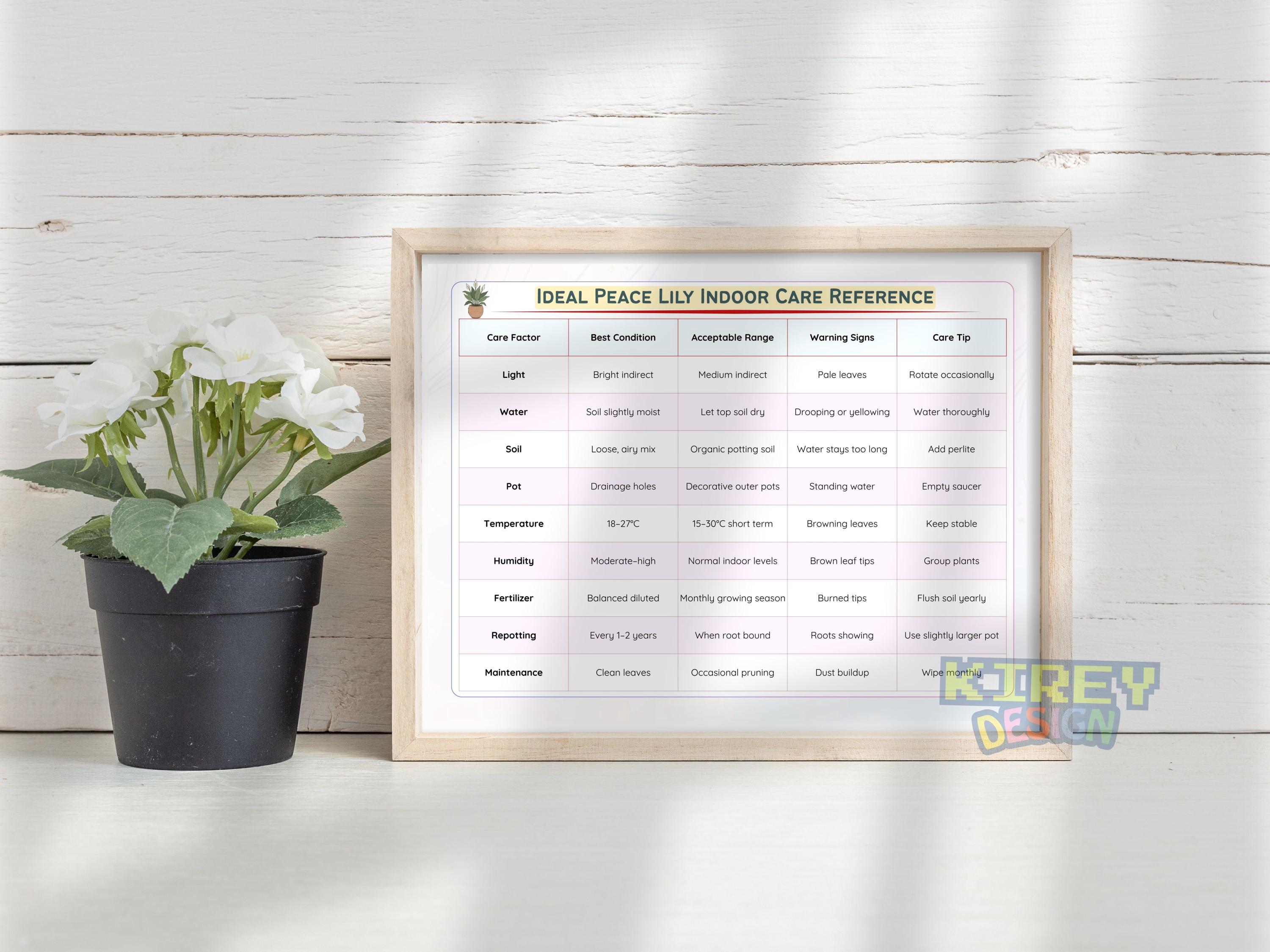 Peace Lily Care Printable | Why Peace Lilies Fail & How to Fix | 3 ...