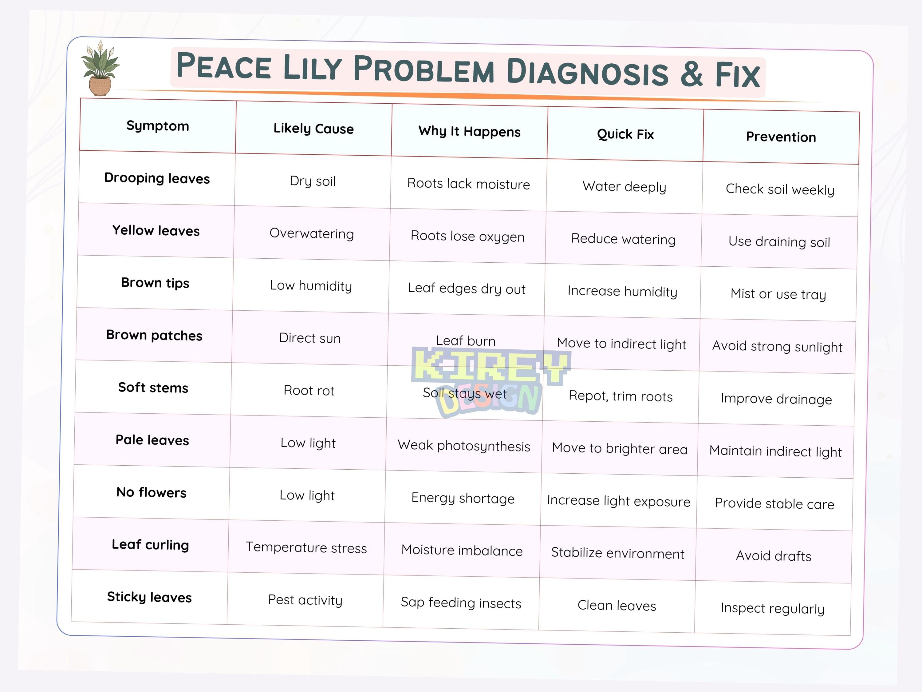 Peace Lily Care Printable | Why Peace Lilies Fail & How to Fix | 3 ...