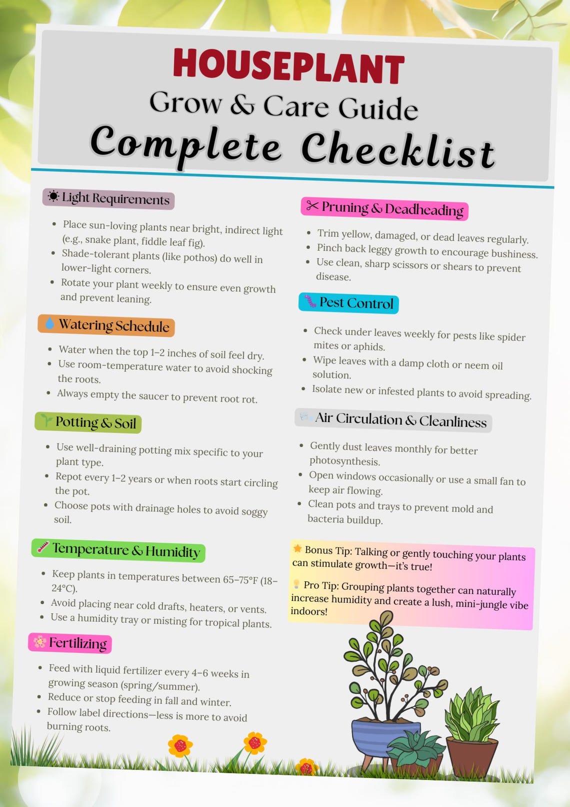 Houseplants Care Guide Chart – How to Grow and Care for Houseplants ...