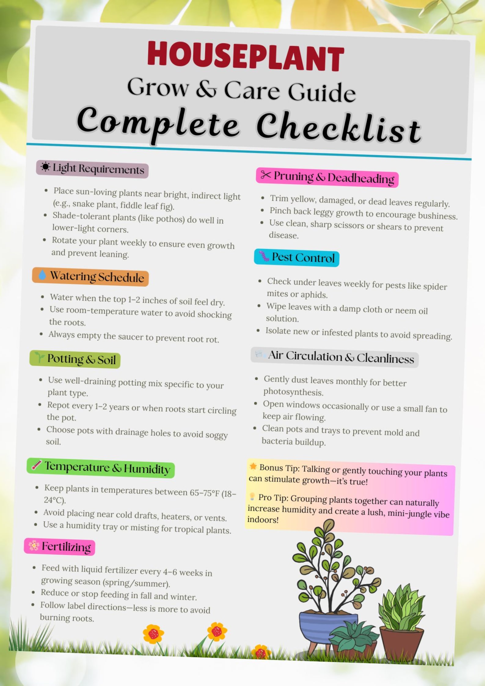 Houseplants Care Guide Chart – How to Grow and Care for Houseplants ...