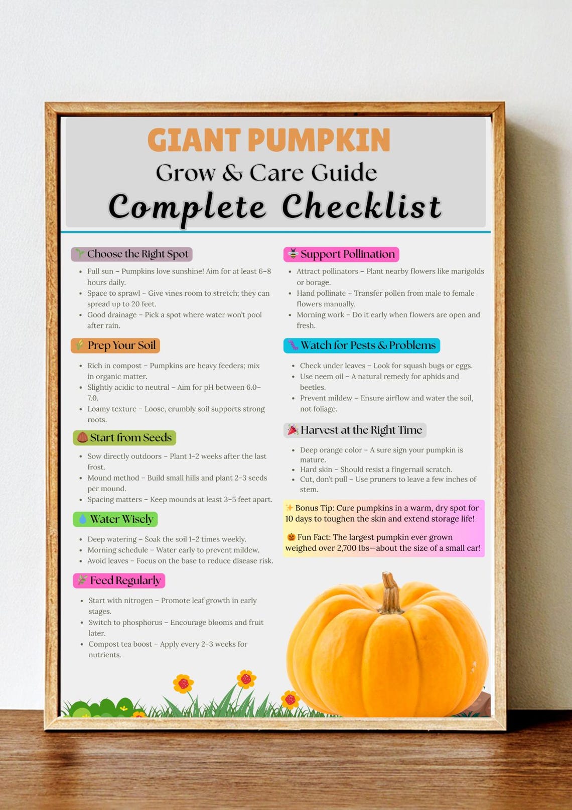 Giant Pumpkin Care Guide – How to Grow and Care for Giant Pumpkin ...