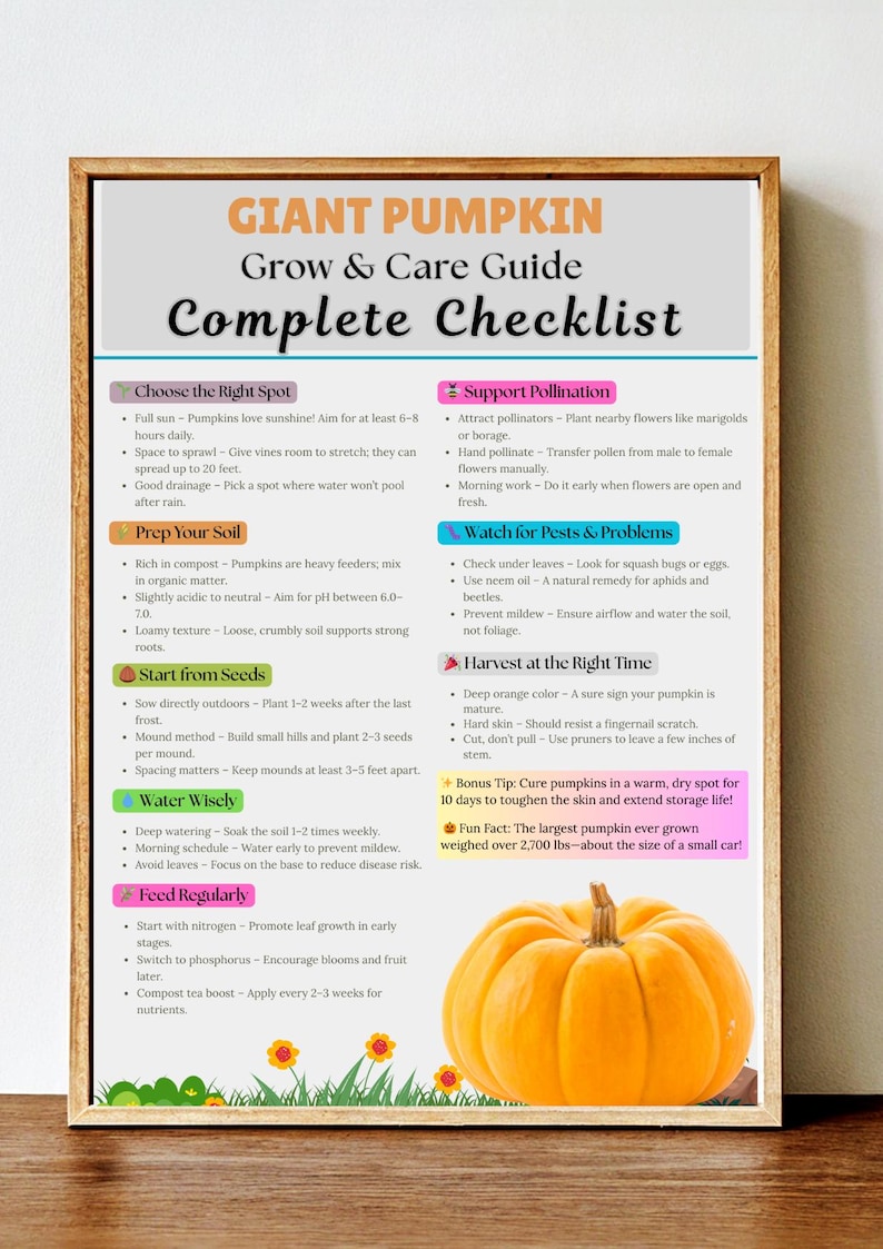 Giant Pumpkin Care Guide – How to Grow and Care for Giant Pumpkin ...