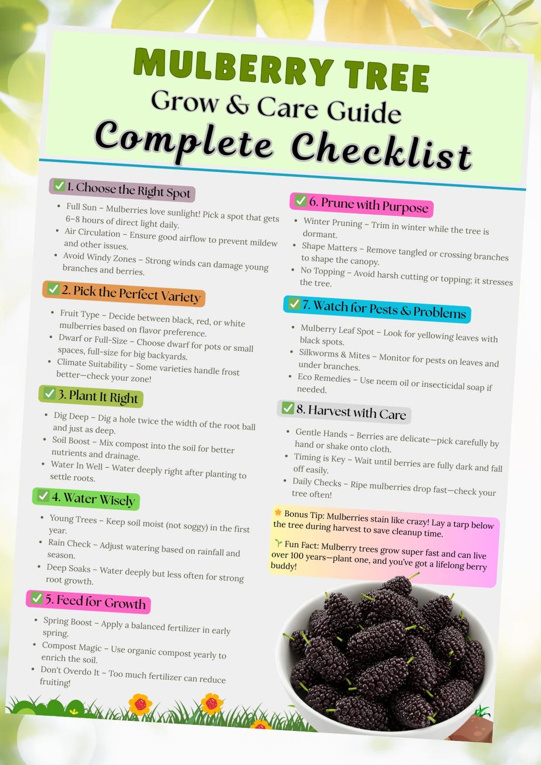 Mulberry Tree Care Guide – How to Grow and Care for Mulberry Trees ...