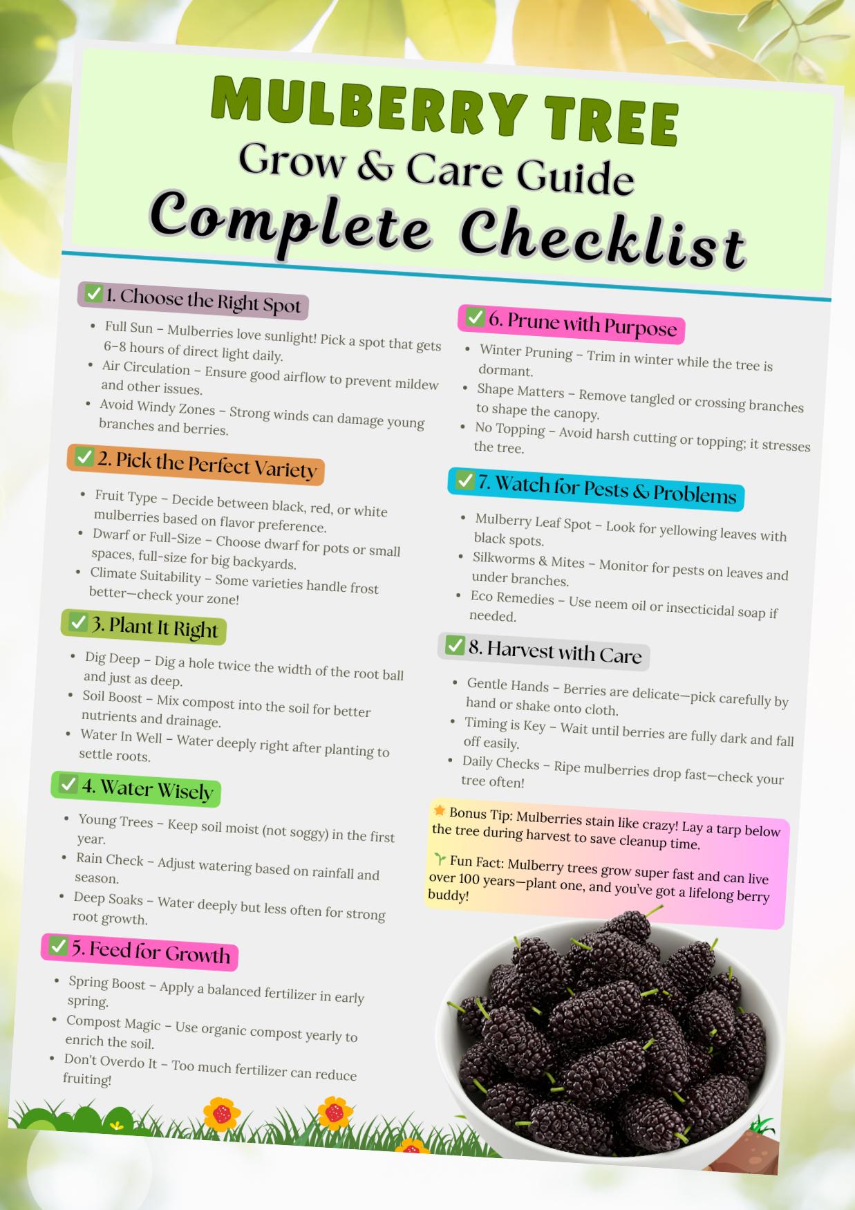Mulberry Tree Care Guide – How to Grow and Care for Mulberry Trees ...