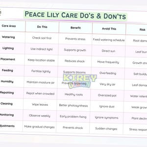 Peace Lily Care Printable | Why Peace Lilies Fail & How to Fix | 3 ...