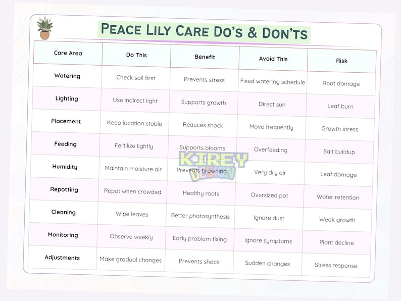 Peace Lily Care Printable | Why Peace Lilies Fail & How to Fix | 3 ...