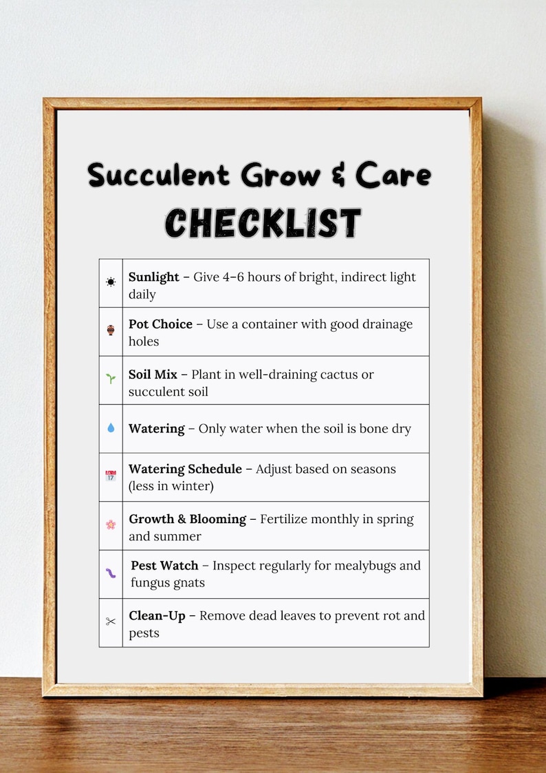 Most People Overcare Succulents – A Simple Step-by-step Guide to ...