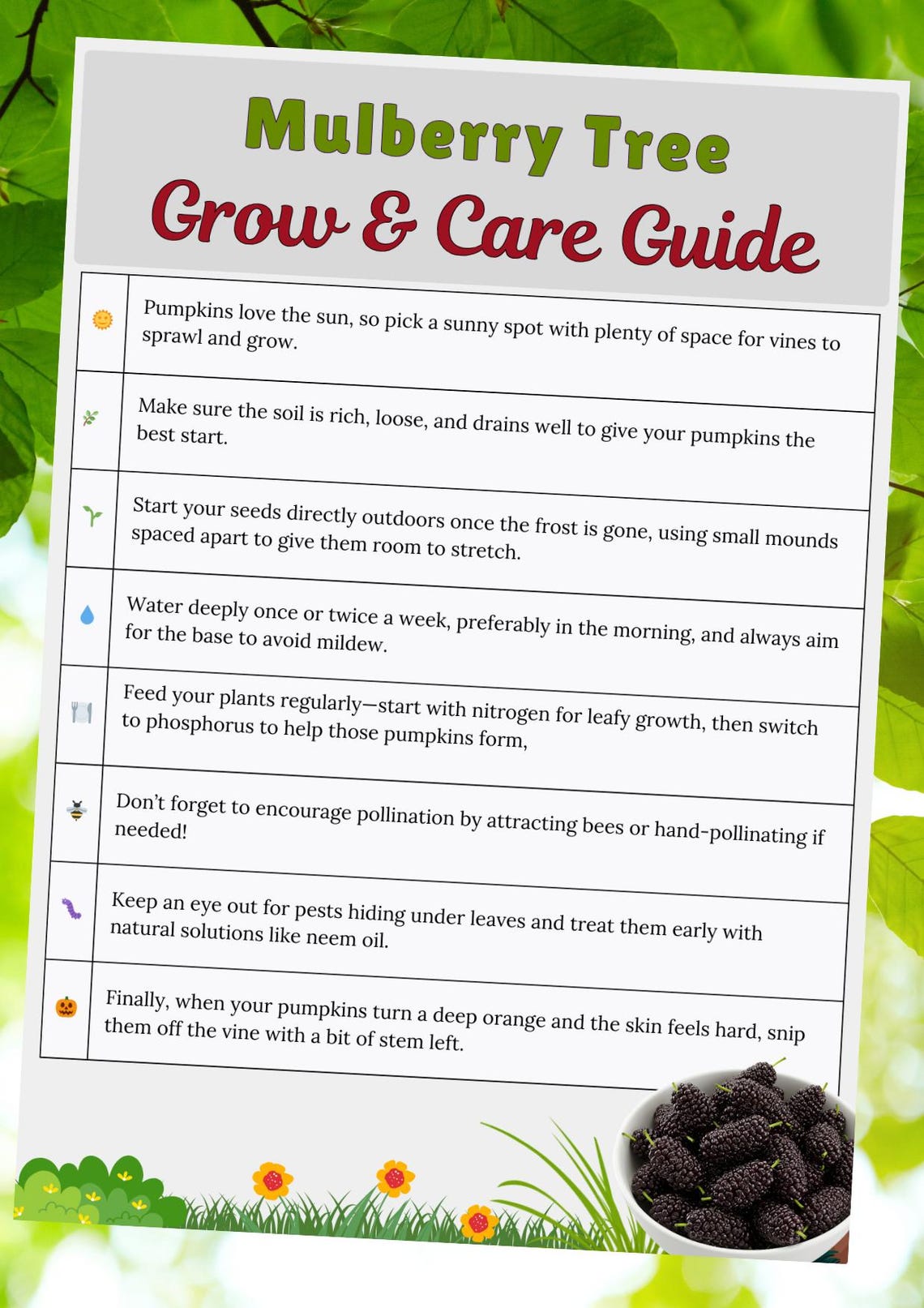 Mulberry Tree Care Guide – How to Grow and Care for Mulberry Trees ...