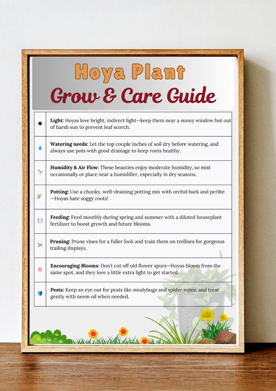 Why My Hoya Isn’t Flowering - A Clear, No-confusion Printable Guide to ...