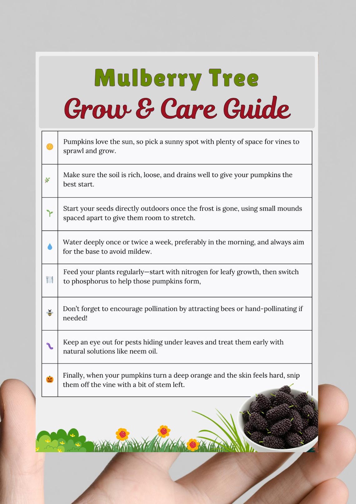 Mulberry Tree Care Guide – How to Grow and Care for Mulberry Trees ...