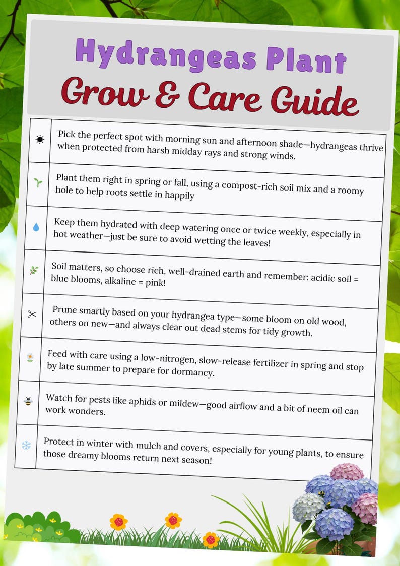 Hydrangeas Plant Care Guide – How to Grow and Care for Hydrangeas ...