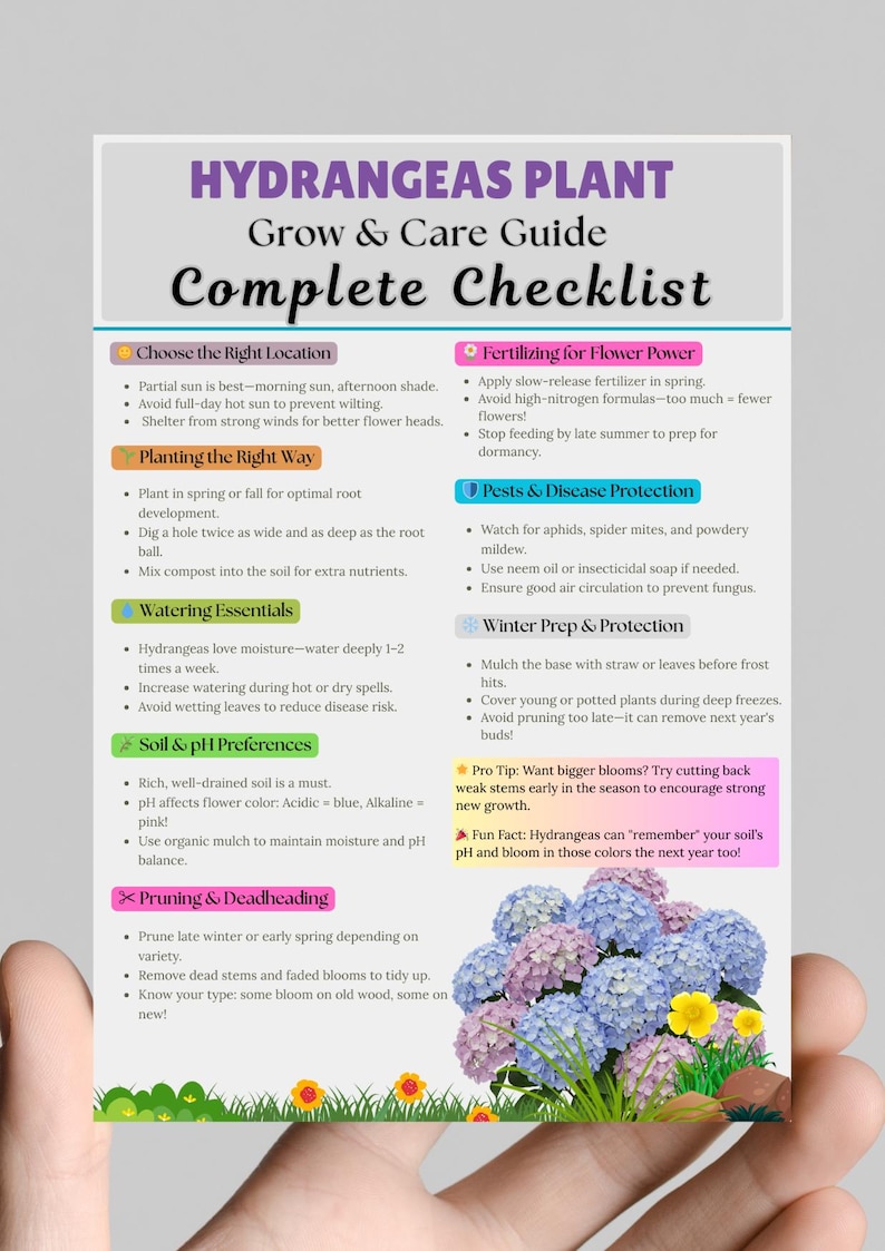 Hydrangeas Plant Care Guide – How to Grow and Care for Hydrangeas ...