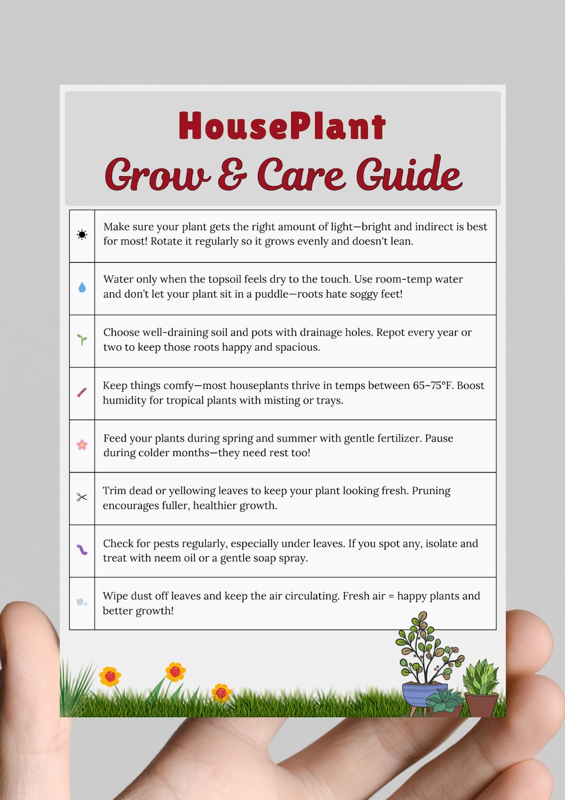 Houseplants Care Guide Chart – How to Grow and Care for Houseplants ...